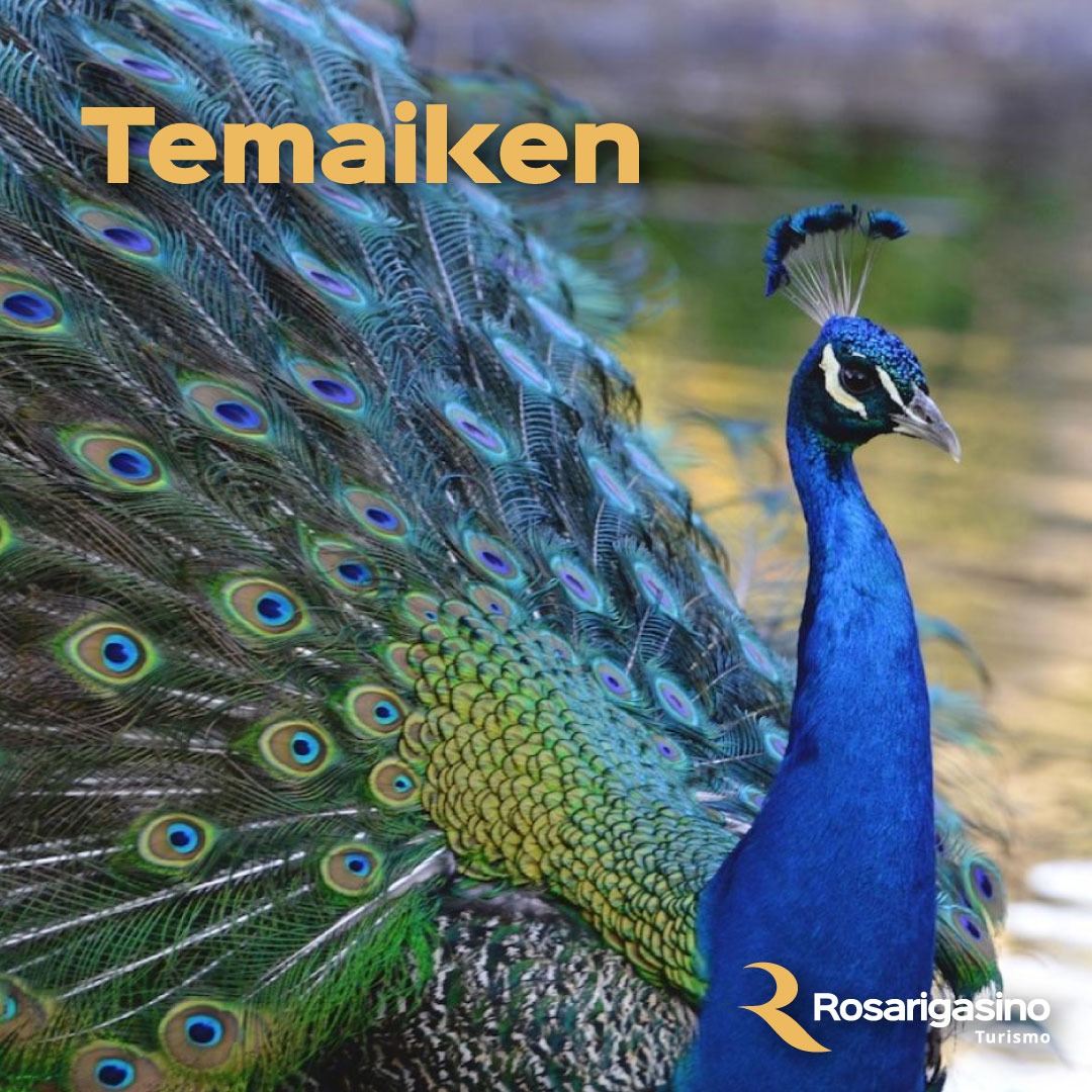 TEMAIKEN - TEMPORADA 2025